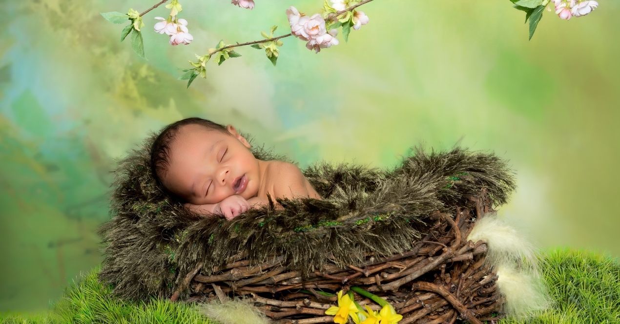 Fun Facts About Your May Baby