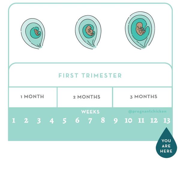 13 Weeks Pregnant