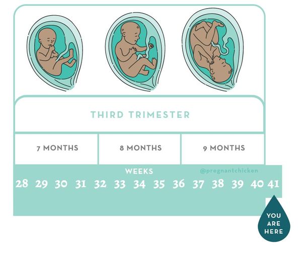 41 Weeks Pregnant