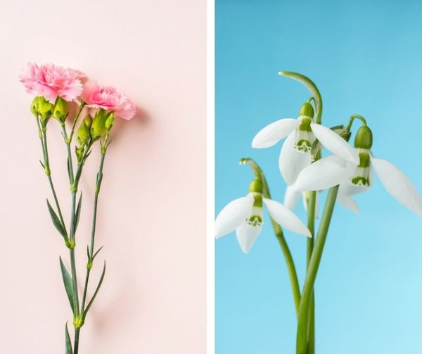 Fun Facts About Your January Baby