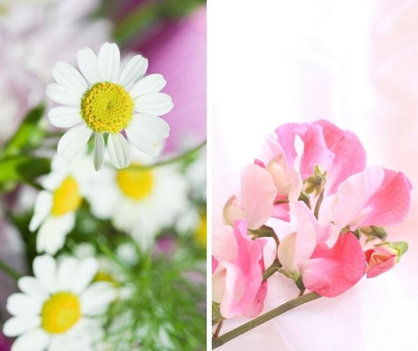 Fun Facts About Your April Baby