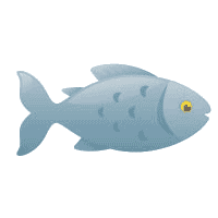 Safe Seafood To Eat During Pregnancy